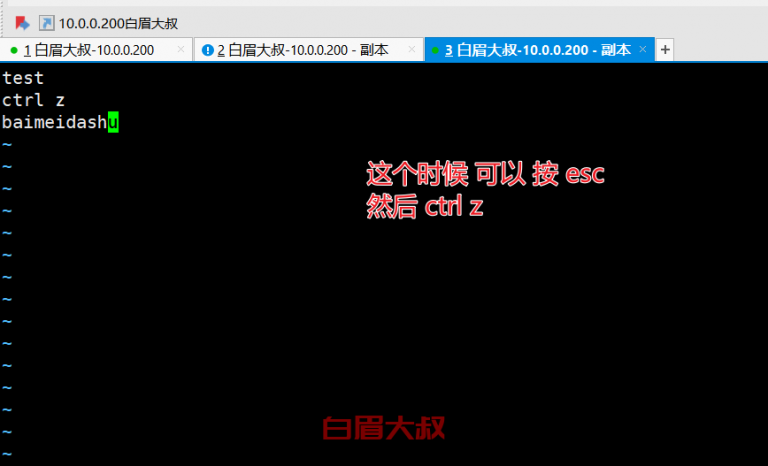 linux 中 ctrl+z 和 ctrl+c 的区别-白眉大叔