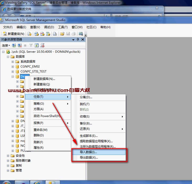 SQL Server Management Studio 导入数据-白眉大叔